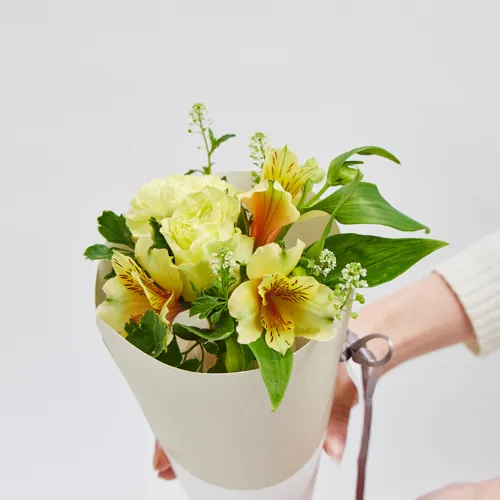 青山フラワーマーケット|花や緑とともに暮らす毎日を 青山フラワーマーケット|花や緑とともに暮らす毎日を